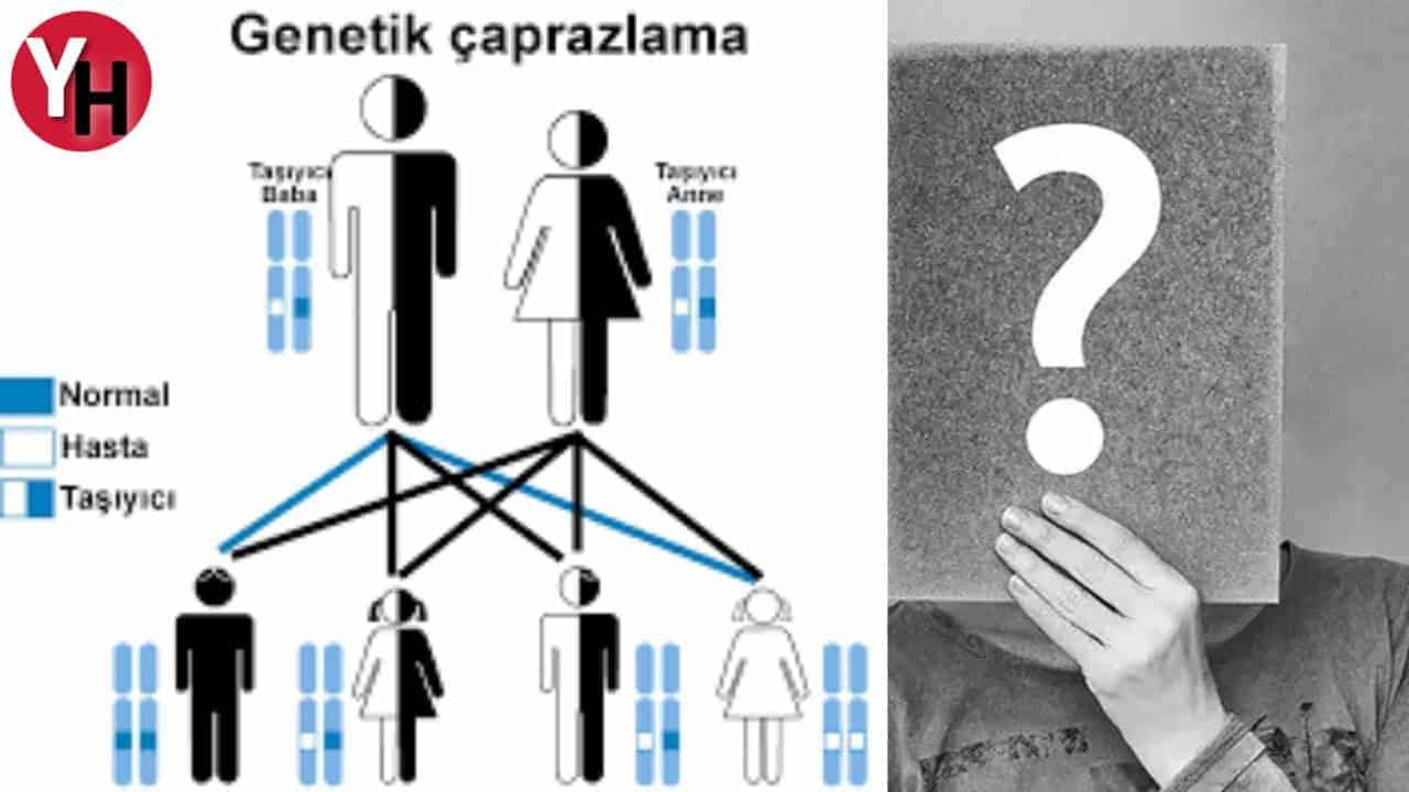 Resesif Nedir? Resesif Gen Nedir? Resesif Gen Örnekleri Nelerdir? - Yazar Haber
